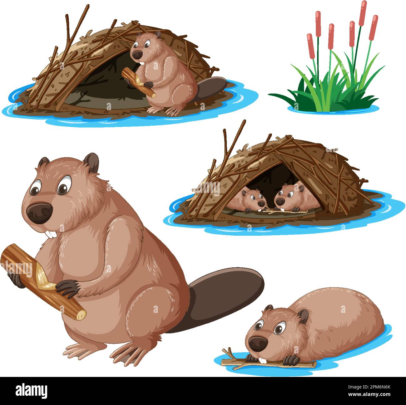 Set of beaver cartoon character illustration Stock Vector Image & Art ...