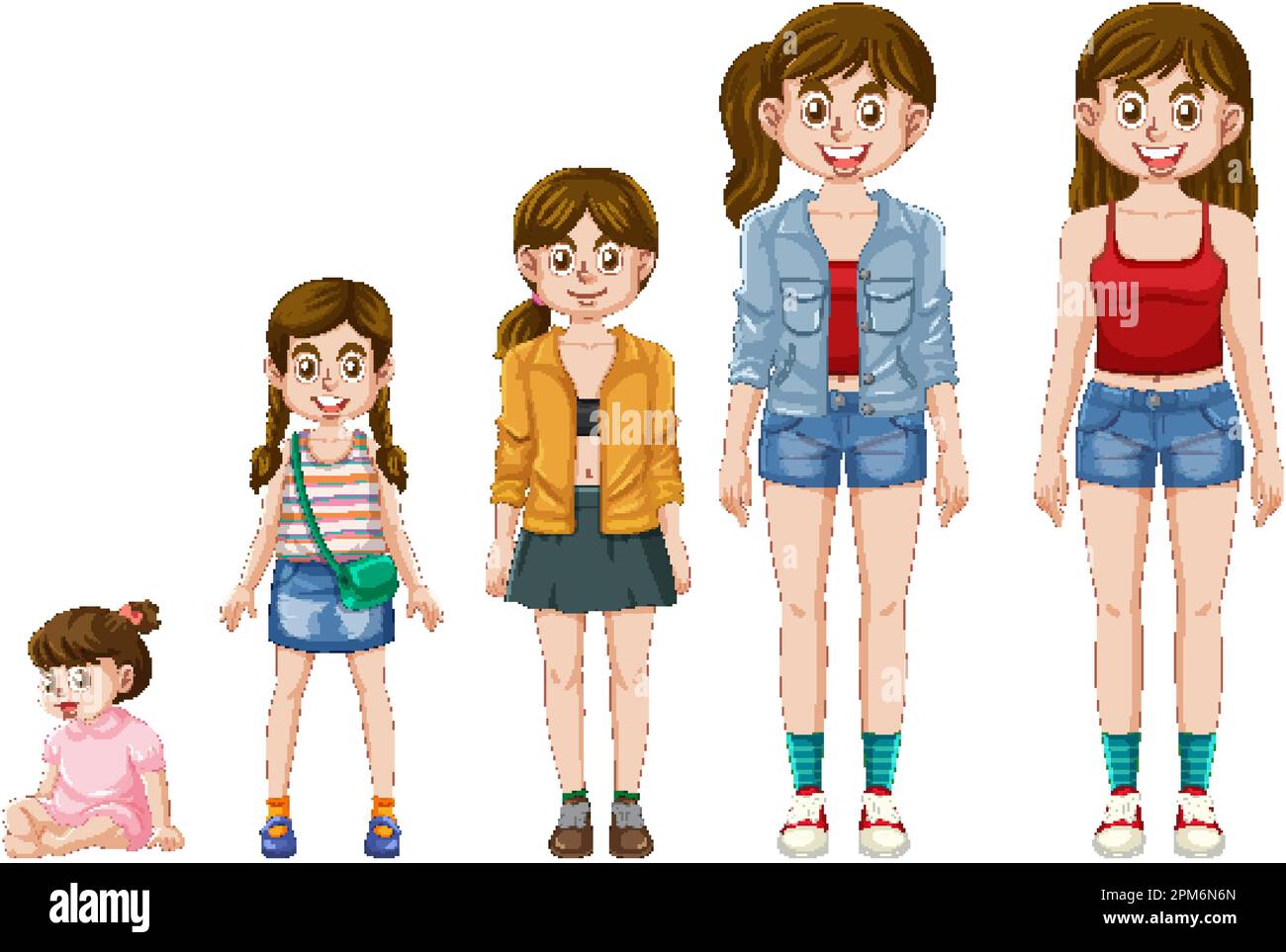 The Stages of Growth for a Young Girl illustration Stock Vector Image ...