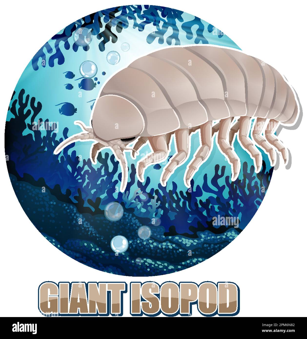 Giant Isopod Deep Sea Creature illustration Stock Vector Image & Art ...