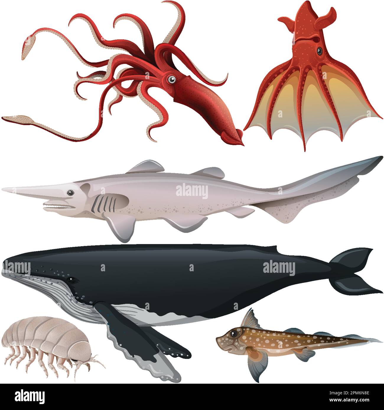 Underwater Creature Vector Set illustration Stock Vector Image & Art ...