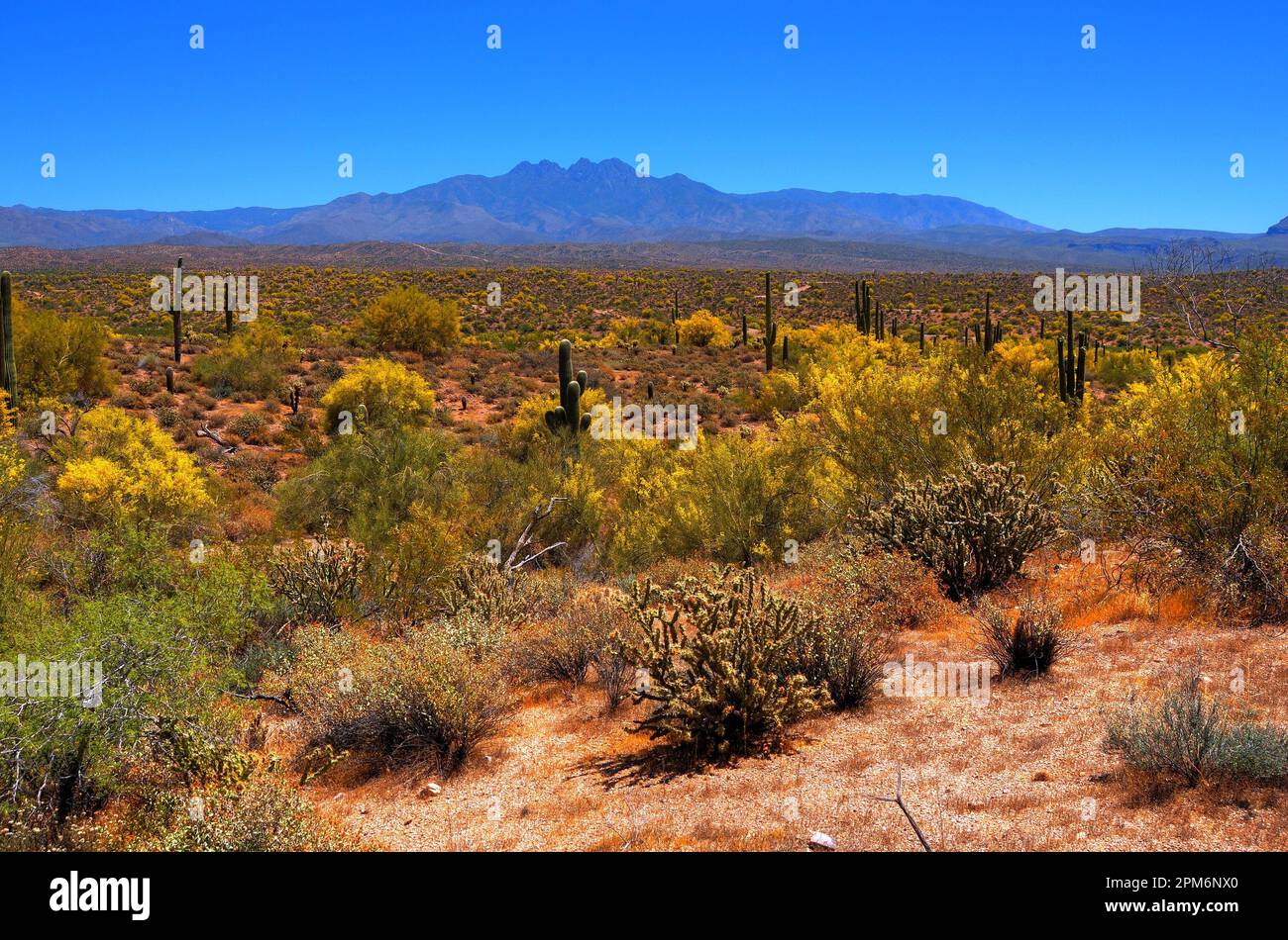 Four peaks desert mountains in Arizona Stock Photo - Alamy