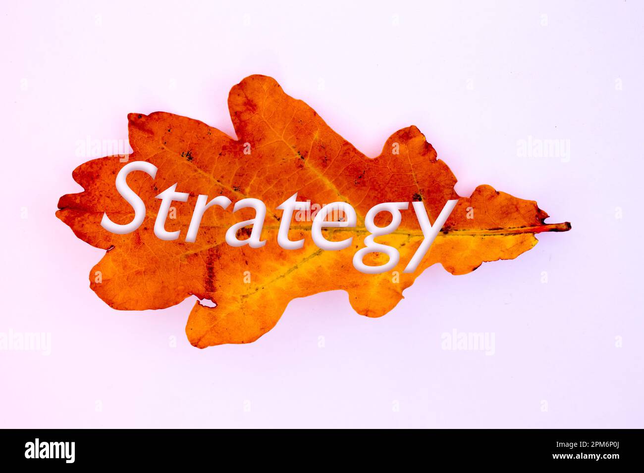 Autumn leaves, objects with Strategy text. Natural patterns, color ...