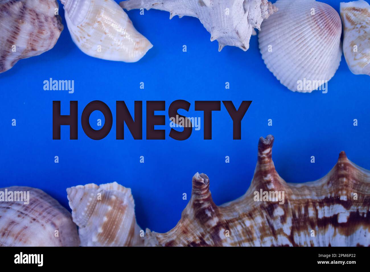 Animal Shell, Summer vacation, marine background with Honesty text ...