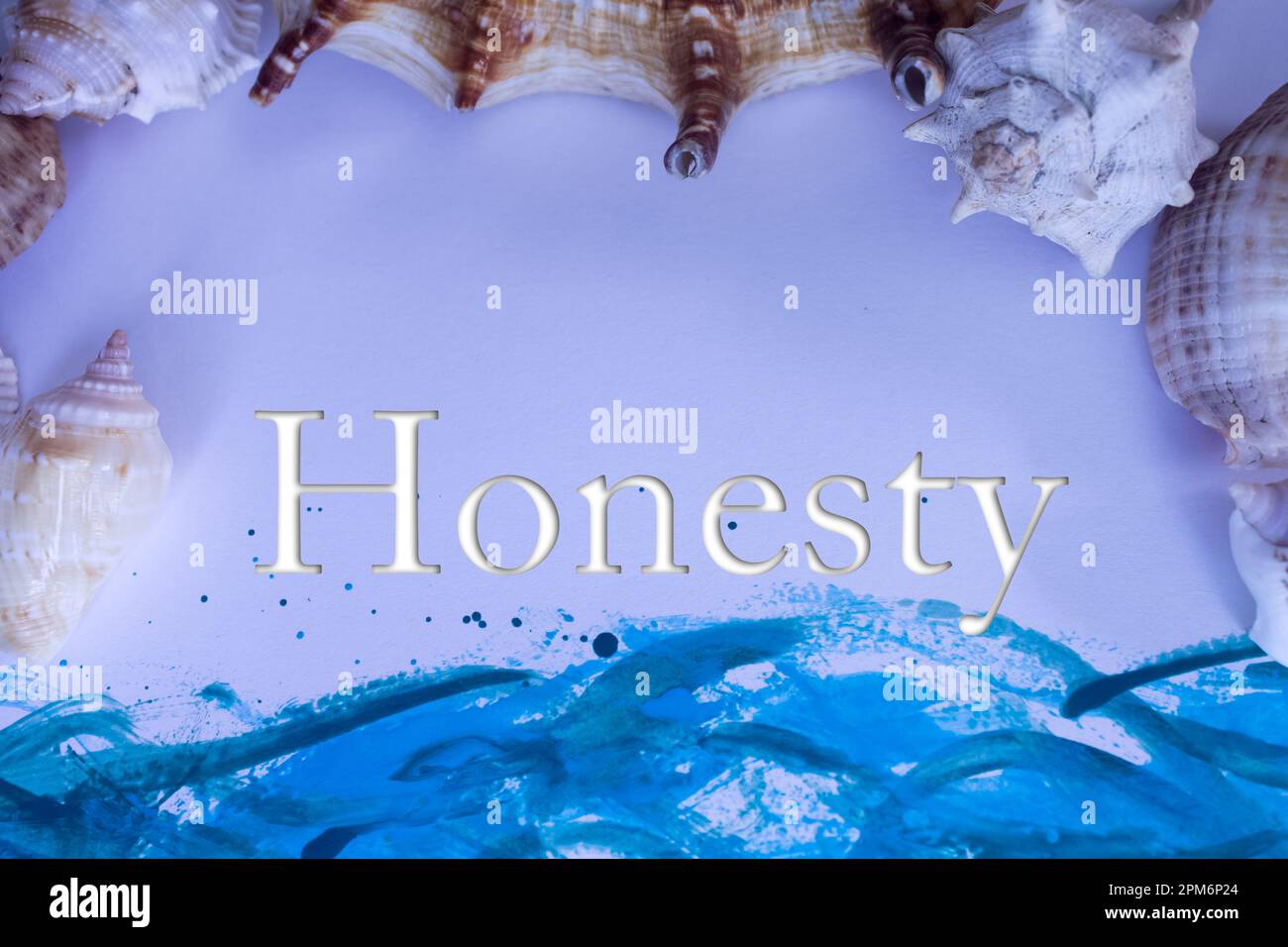 Animal Shell, Summer vacation, marine background with Honesty text ...
