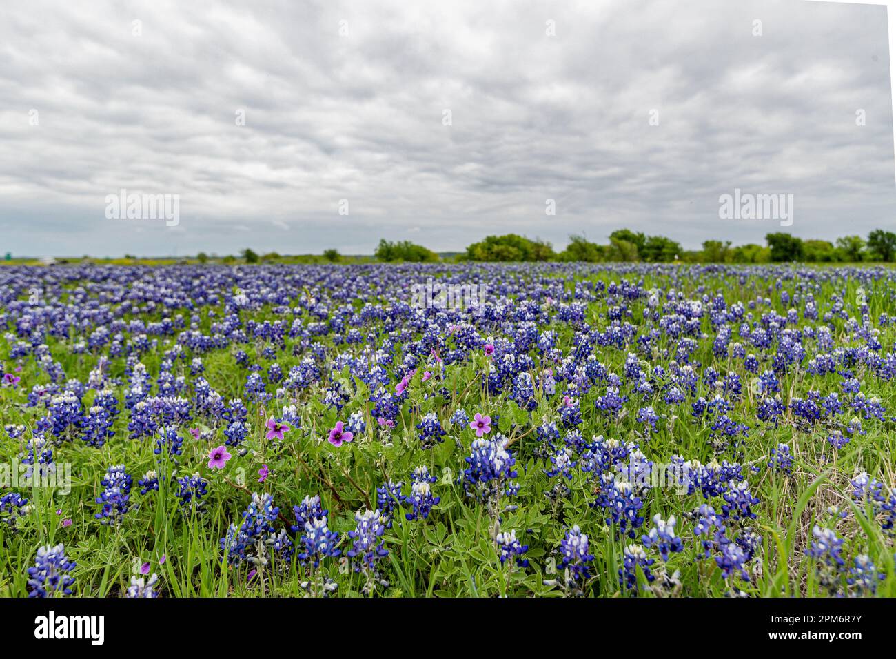 Argyle, Texas, USA. 9th Apr, 2023. 4/9/23 Argyle, Texas Texas ...