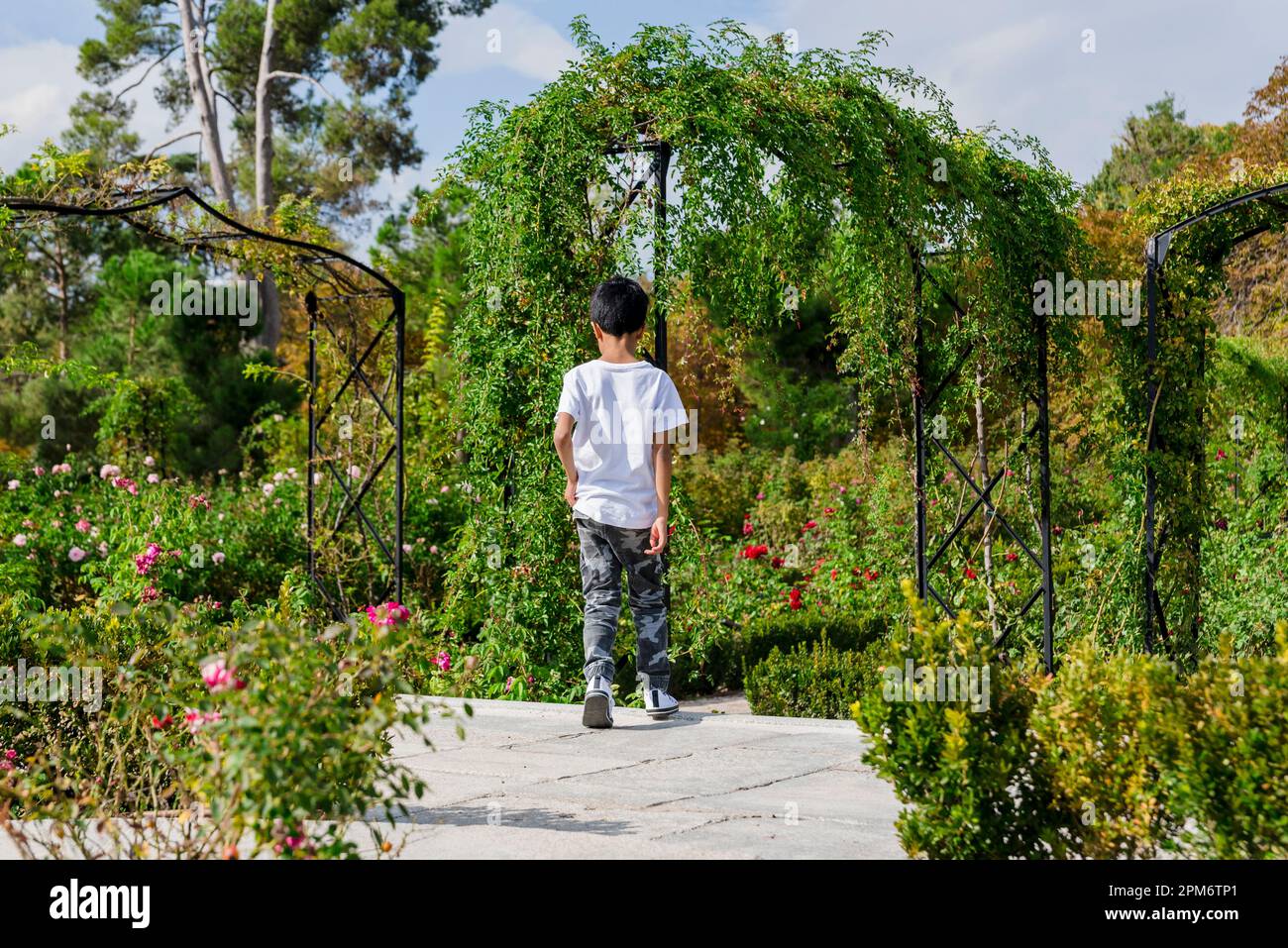 Young boy on his back walking calmly in the park Stock Photo - Alamy
