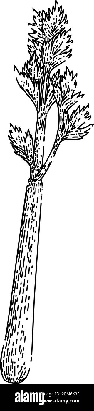 The chopped leaf Black and White Stock Photos & Images - Alamy