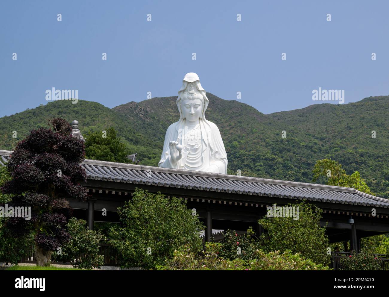HONG KONG SAR,CHINA. APRIL 11th, 2023. Tsz Shan Monastery. The 76 meter ...