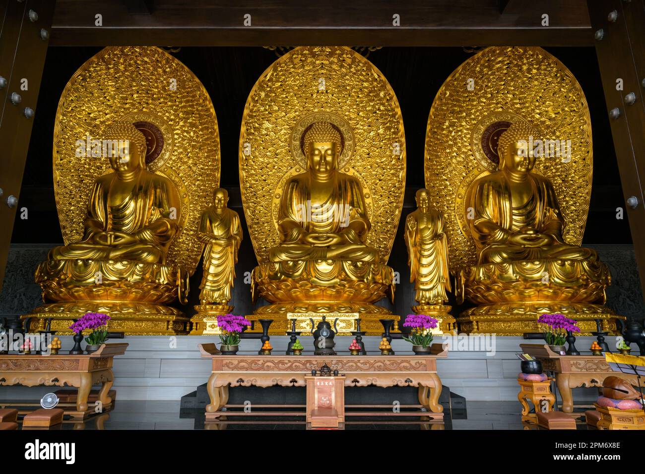 HONG KONG SAR,CHINA. APRIL 11th, 2023. Tsz Shan Monastery.The Grand ...