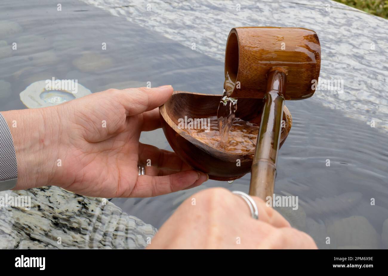 HONG KONG SAR,CHINA. APRIL 11th, 2023. Tsz Shan Monastery. The Water ...