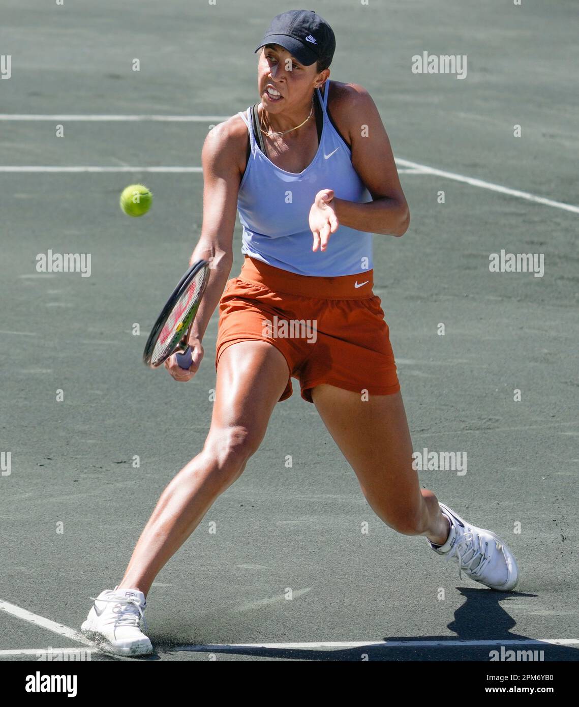 Daria kasatkina 2023 hi-res stock photography and images - Alamy