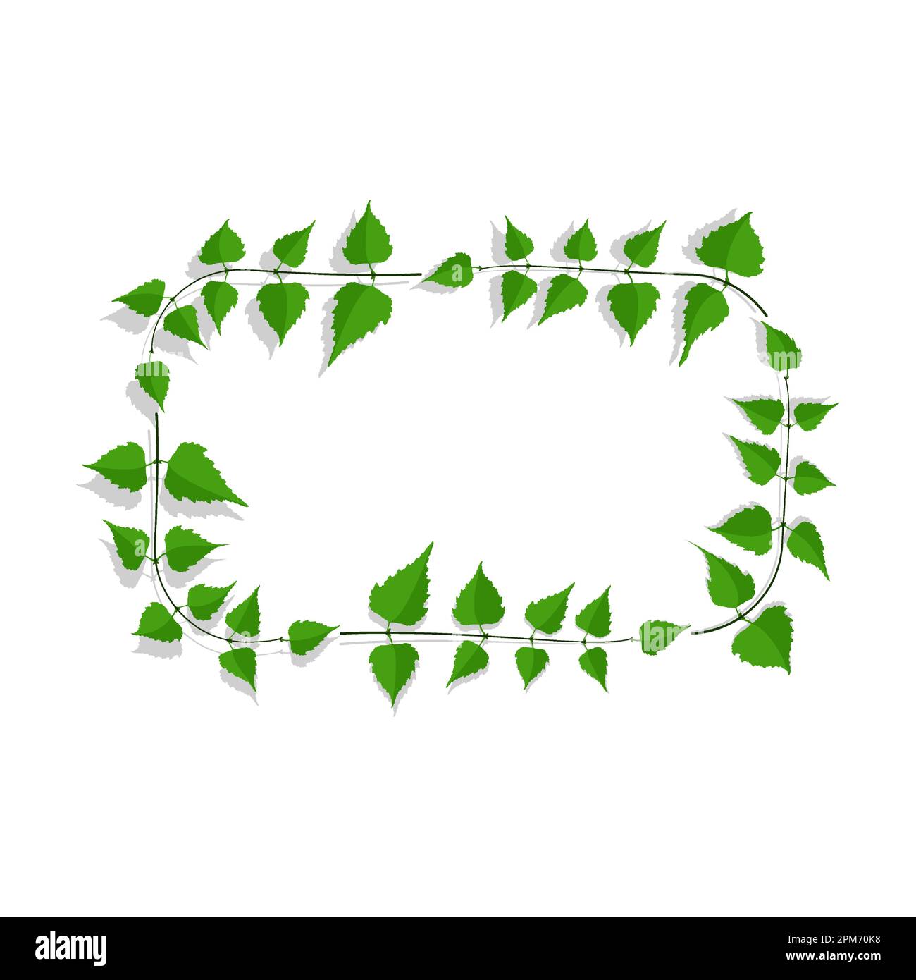 Birch frames Stock Vector Images - Alamy