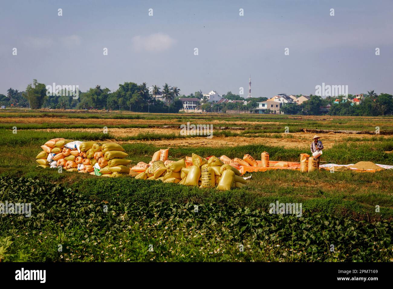 Food storage in vietnam hi-res stock photography and images - Alamy