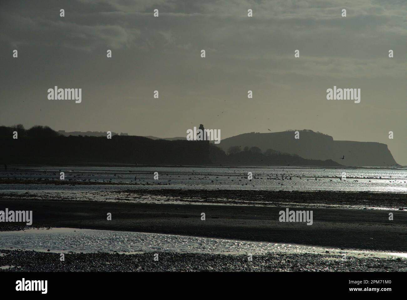 Ayr beach hi-res stock photography and images - Alamy