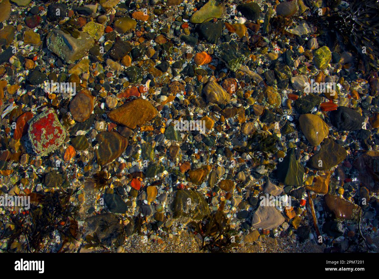 crystal clear rock pool on Burntisland beach Stock Photo - Alamy
