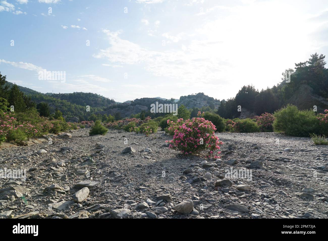 Canyon in Rhodes Greek Island dry River in the summer, Schlucht in ...