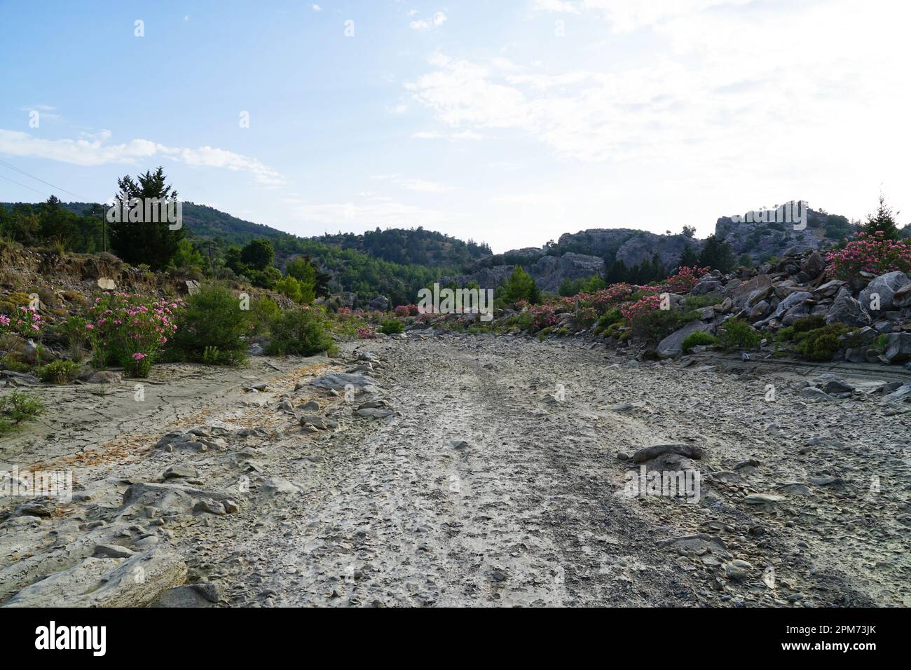 Canyon in Rhodes Greek Island dry River in the summer, Schlucht in ...