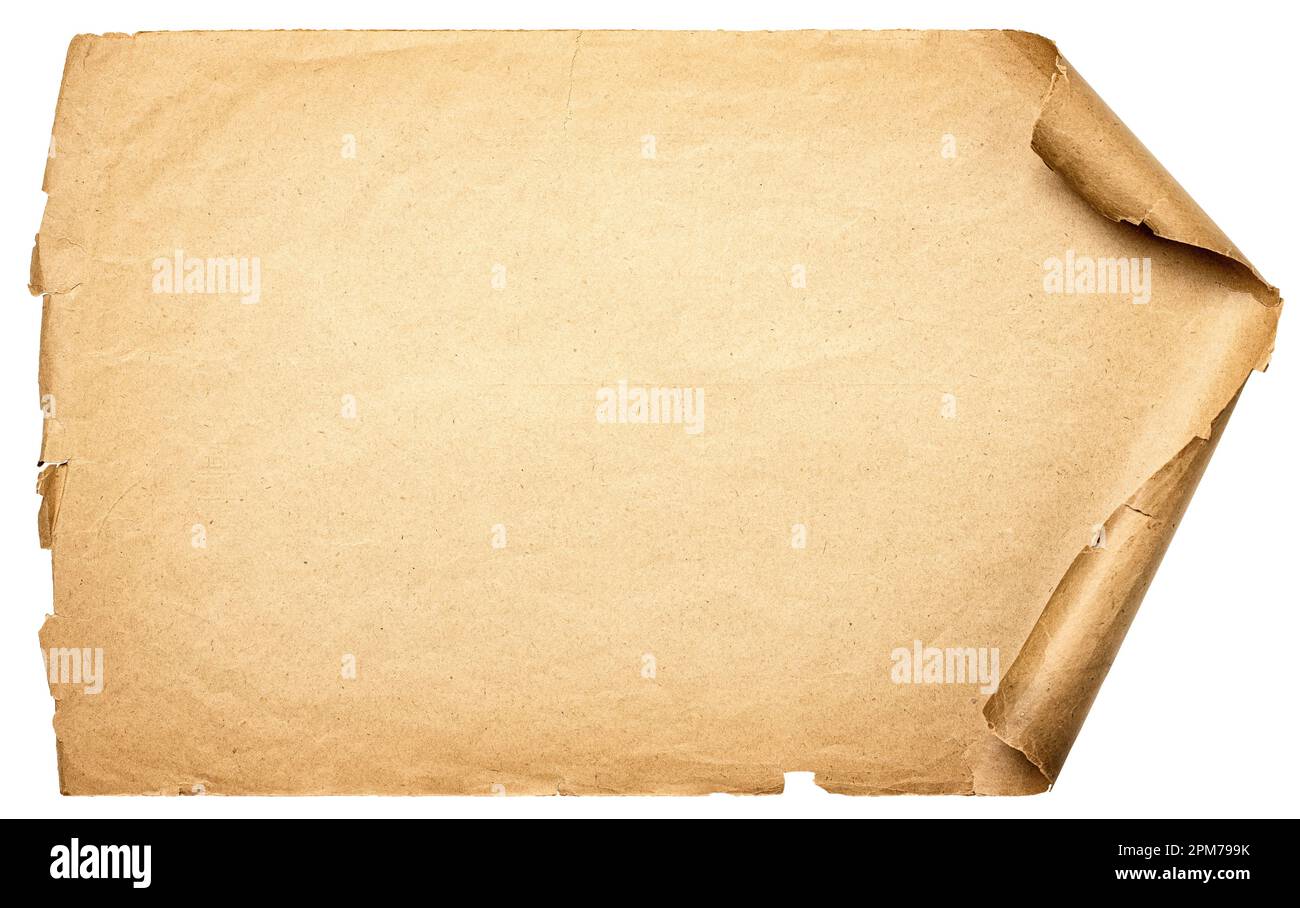 vintage paper scroll isolated on white, grunge papyrus texture as ...