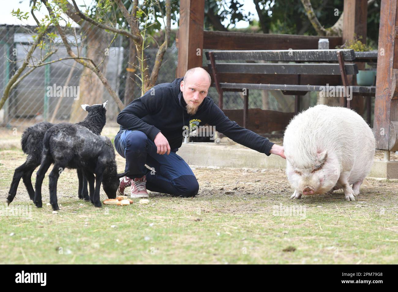 Bosak family hi-res stock photography and images - Alamy