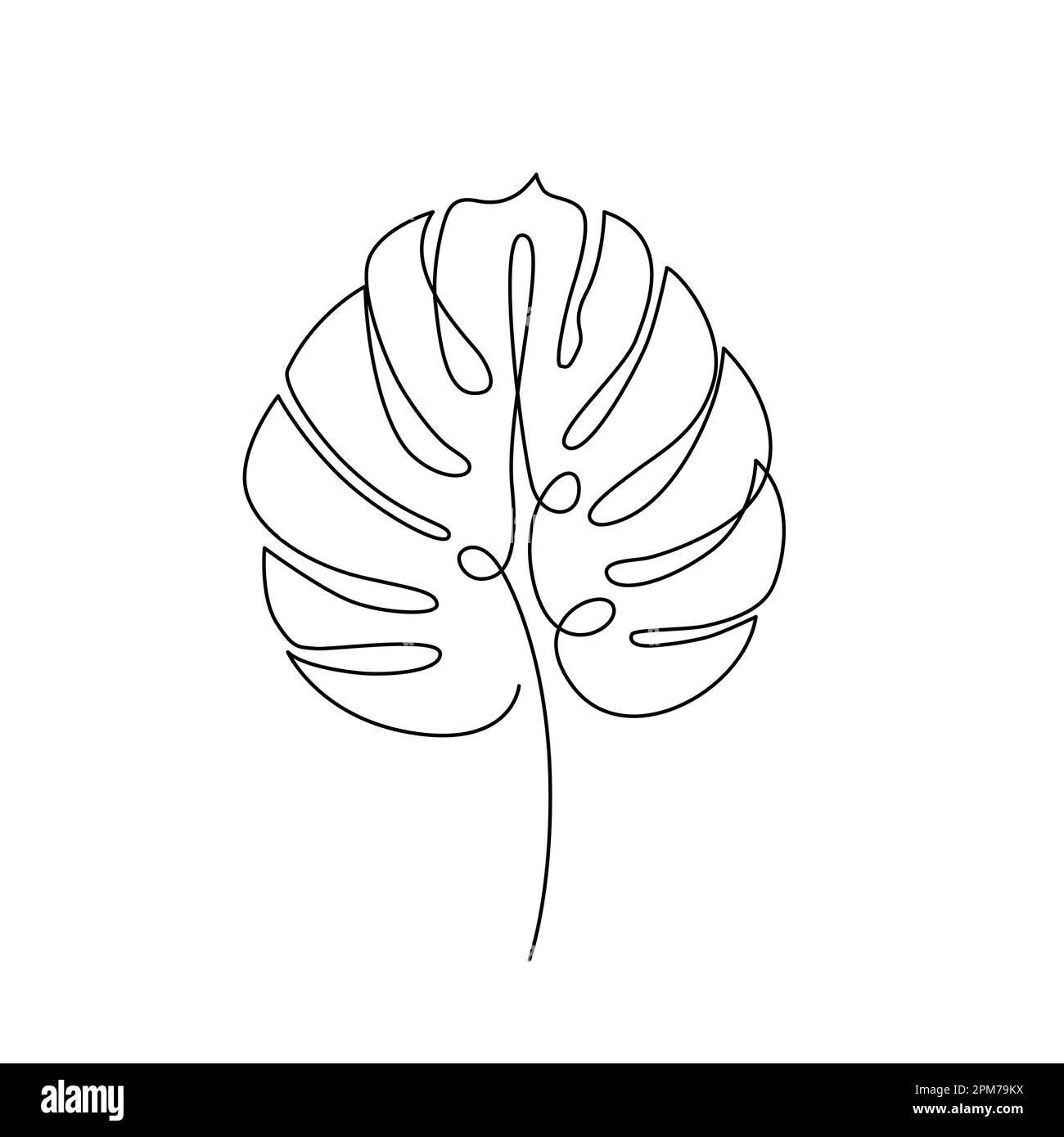 MONSTERA LEAF LINE ART. Vector tropical leaf. Continuous Line Plant ...