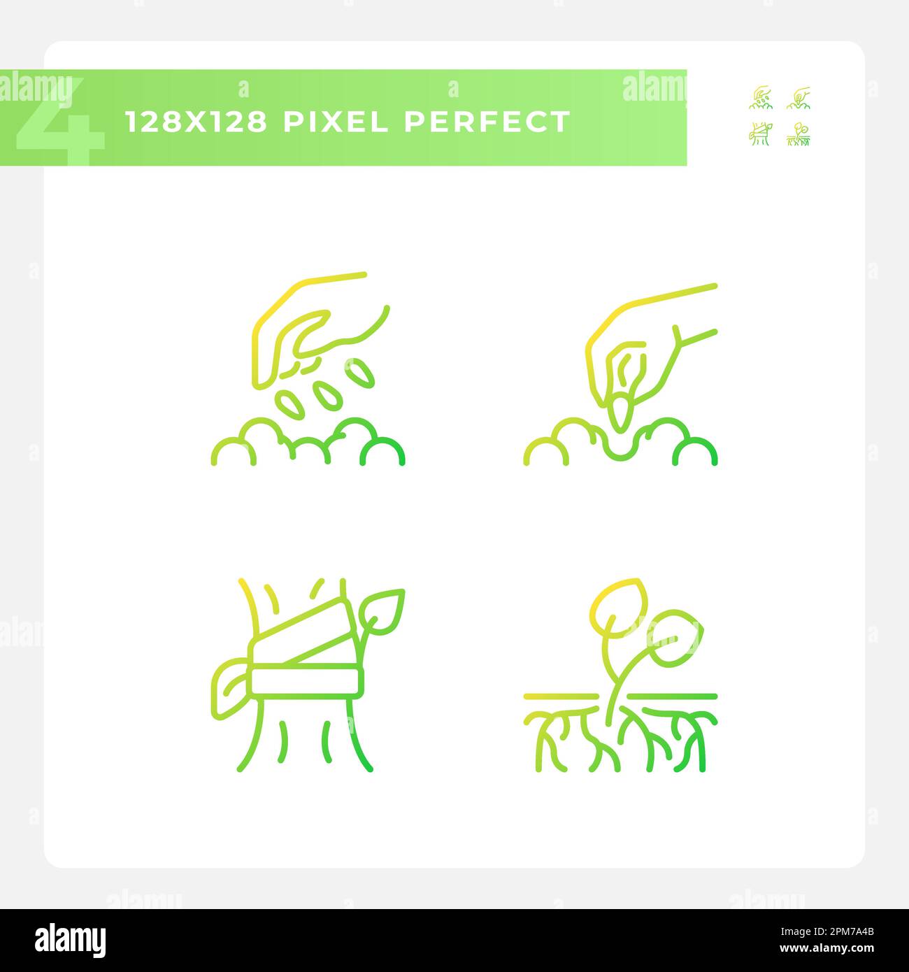 Growing Plants Gradient Linear Vector Icons Set Stock Vector Image And Art Alamy