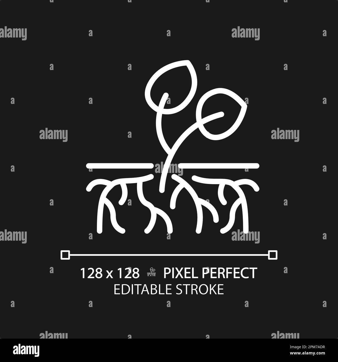 Young root Black and White Stock Photos & Images - Alamy