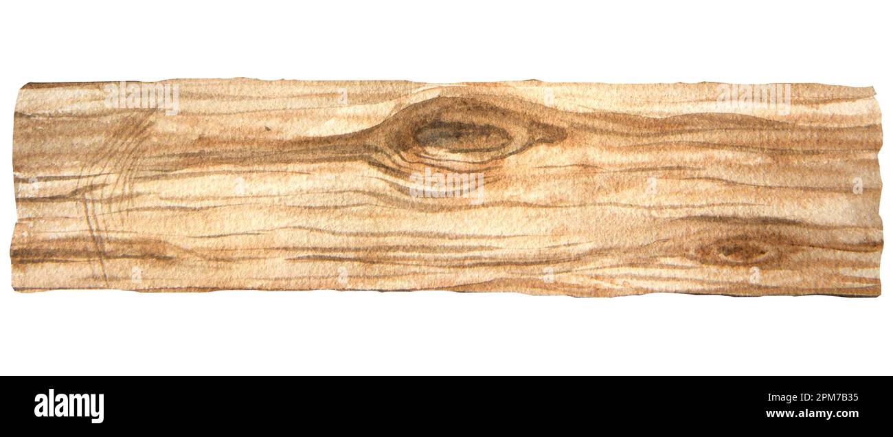 Watercolor illustration of wood texture, wooden plank isolated ...