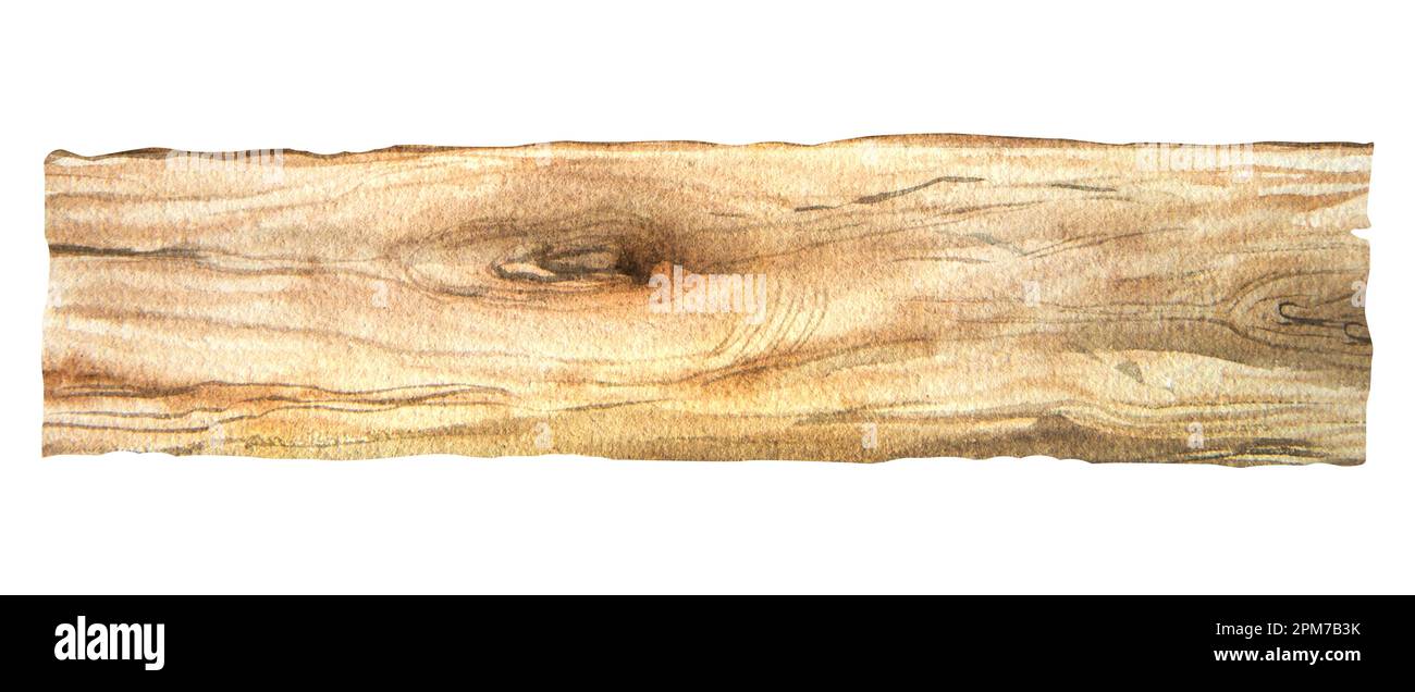 Watercolor illustration of wood texture, wooden plank isolated ...