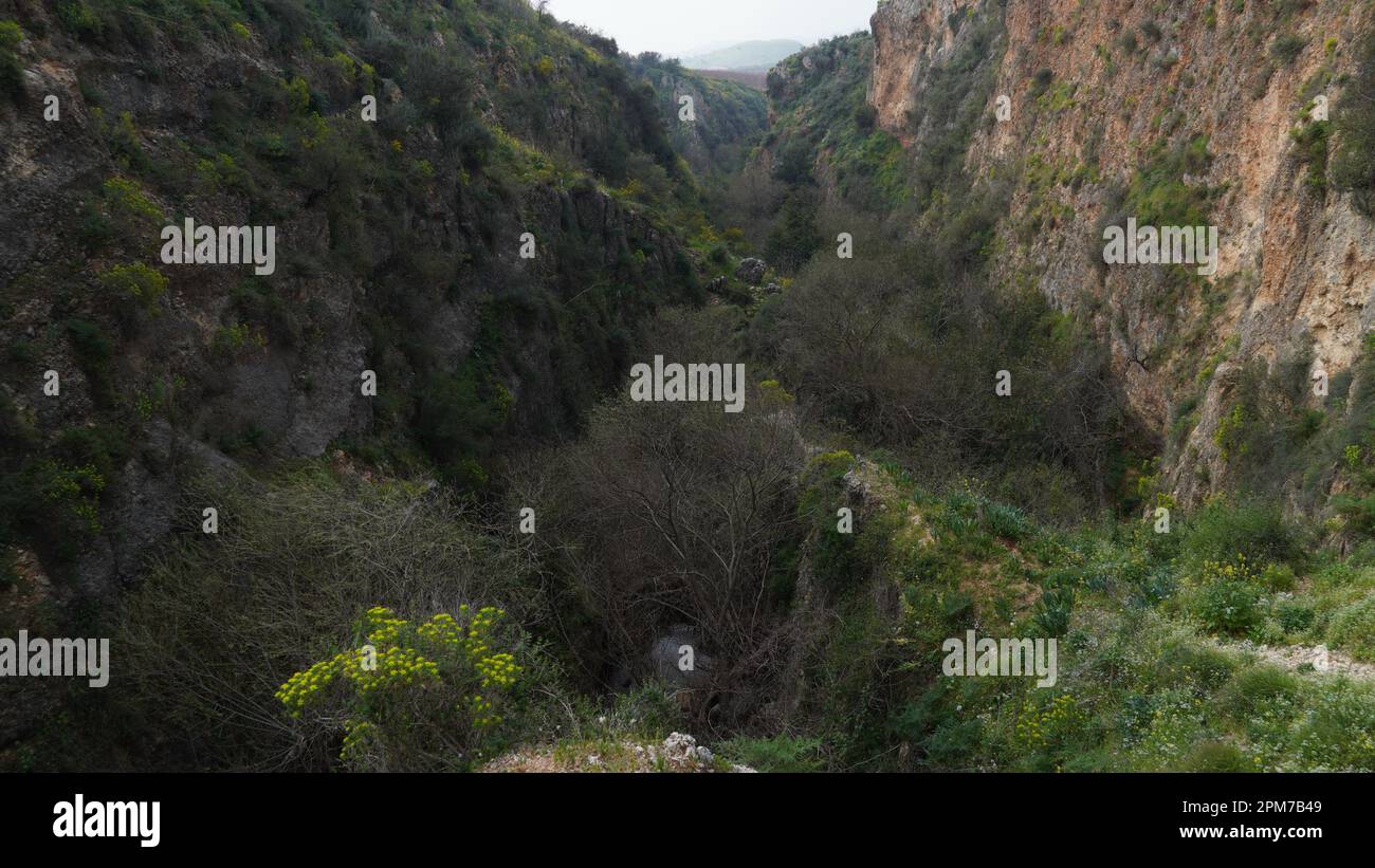 View of Ayun River Nature Reserve in northern Israel Stock Photo - Alamy