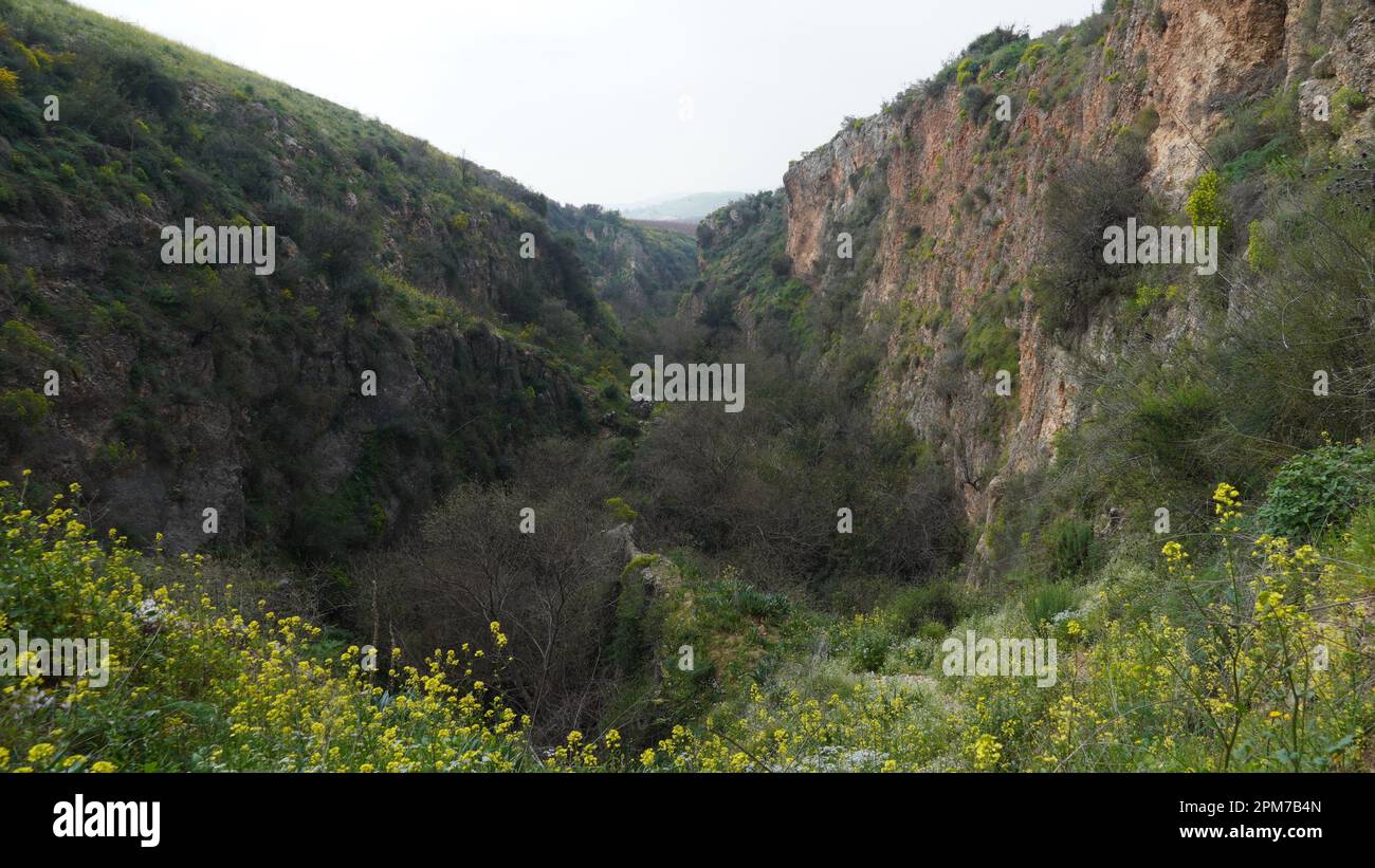View of Ayun River Nature Reserve in northern Israel Stock Photo - Alamy