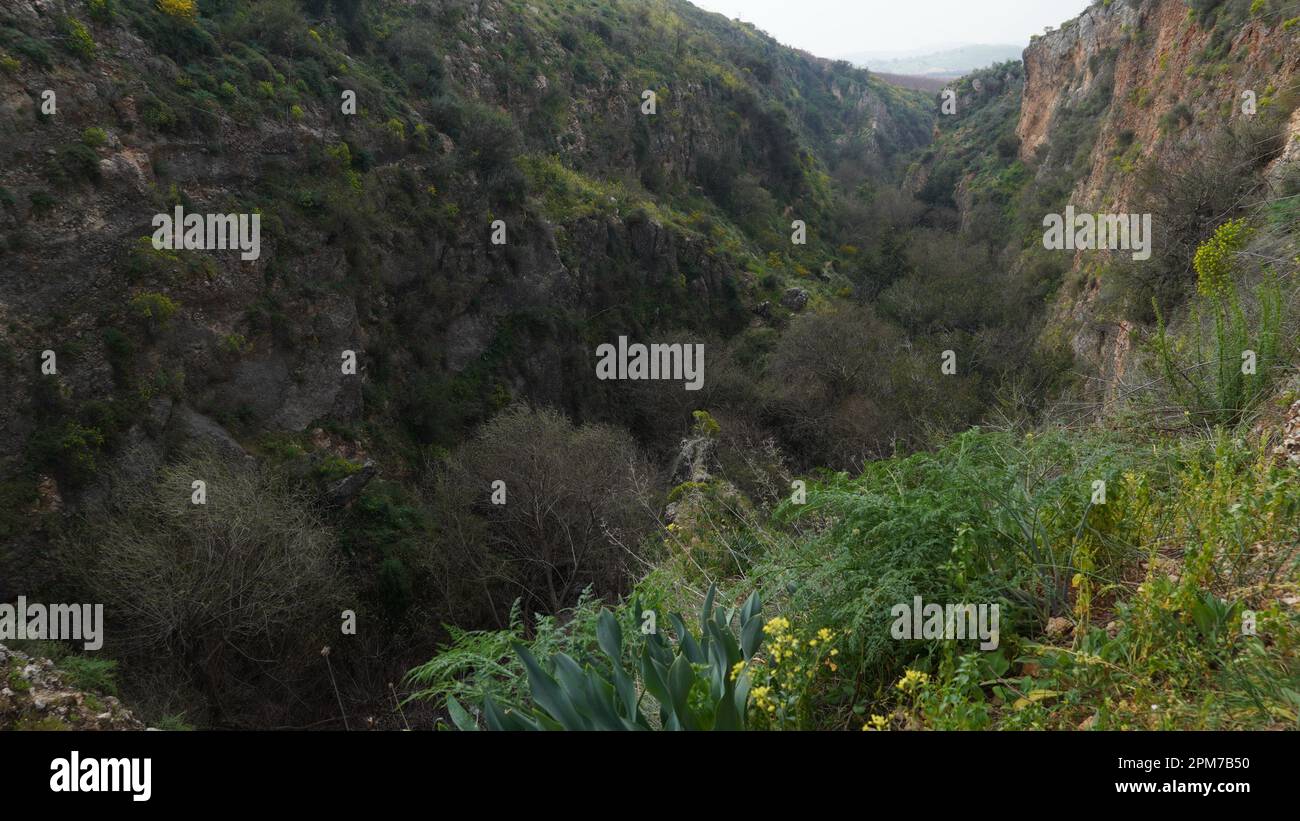 View of Ayun River Nature Reserve in northern Israel Stock Photo - Alamy