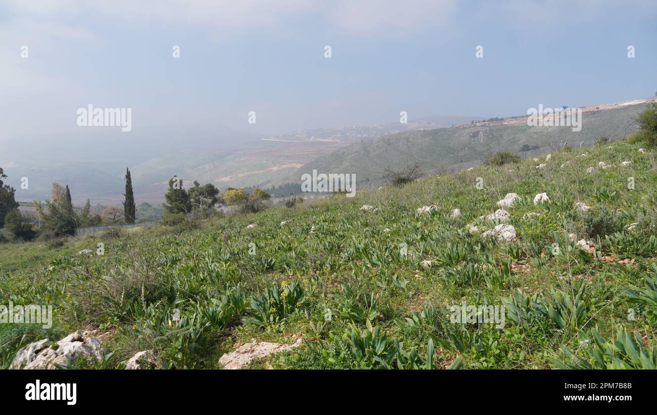 View of Ayun River Nature Reserve in northern Israel Stock Photo - Alamy