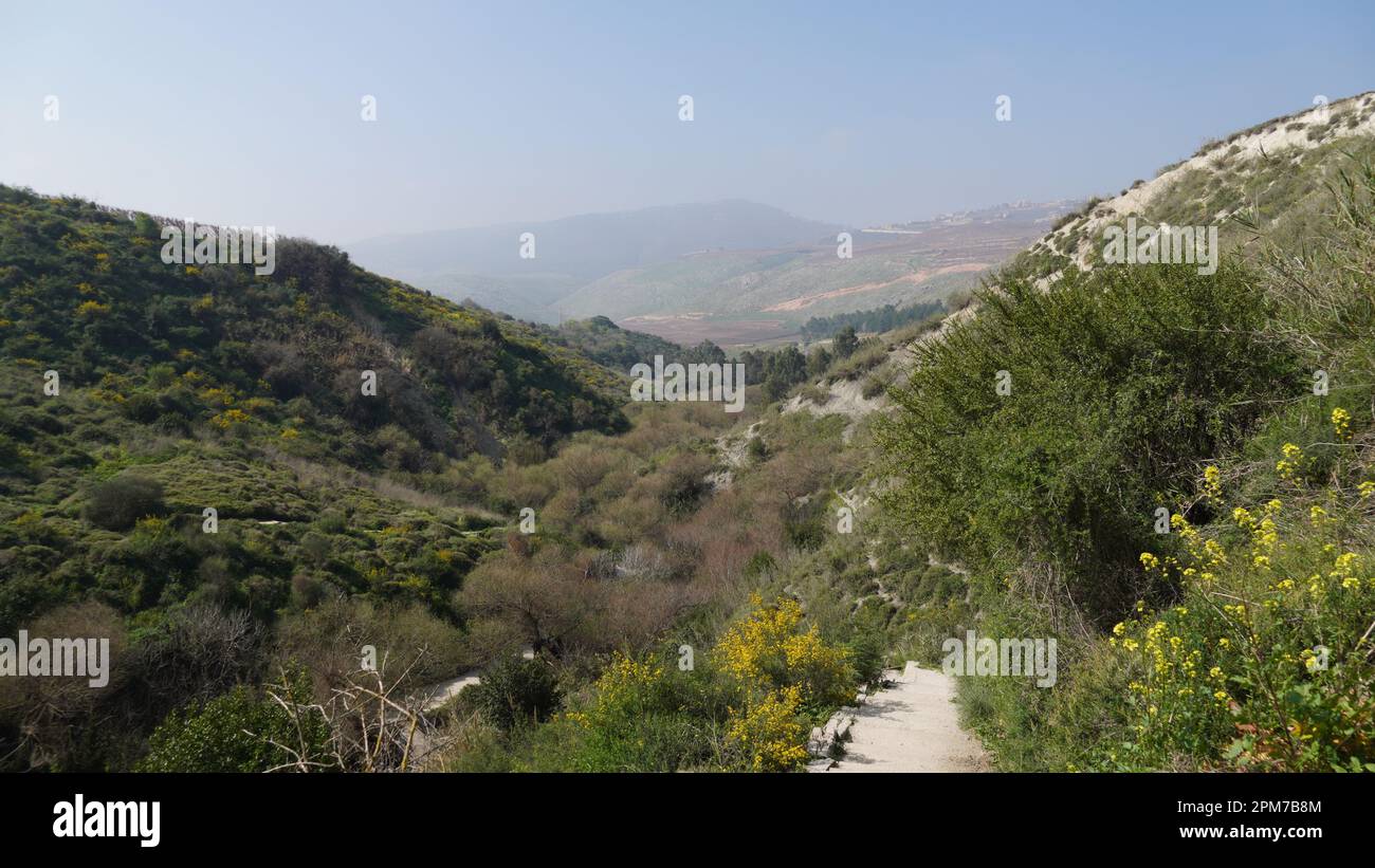 View of Ayun River Nature Reserve in northern Israel Stock Photo - Alamy