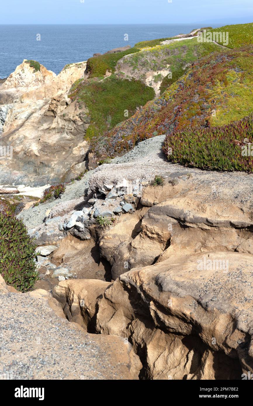 Colorful and scenic cliffside view at Bodega Head in California Stock ...