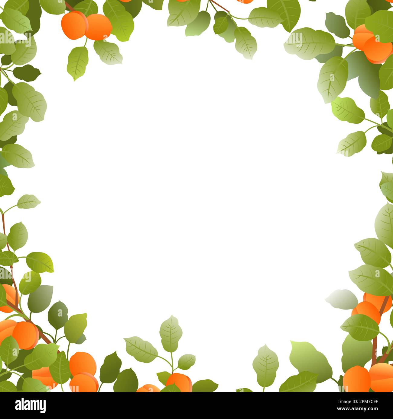 Edge to edge frame hi-res stock photography and images - Alamy