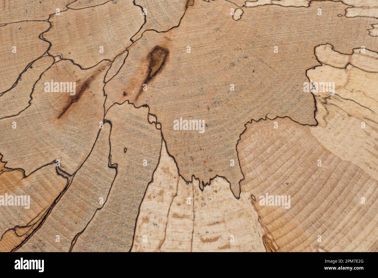 Structure of creation hi-res stock photography and images - Alamy