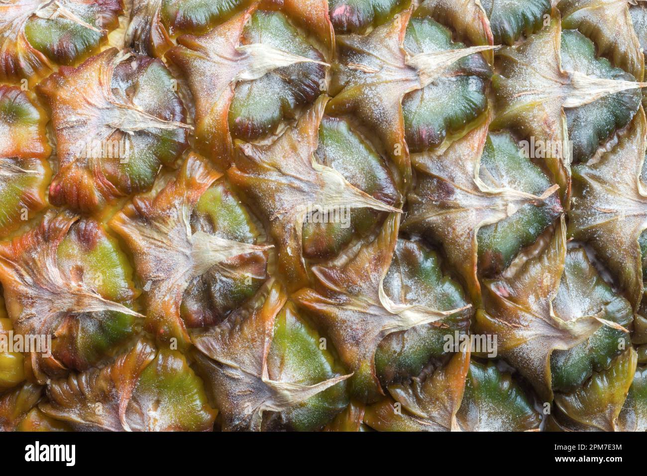 Food texture hi-res stock photography and images - Alamy