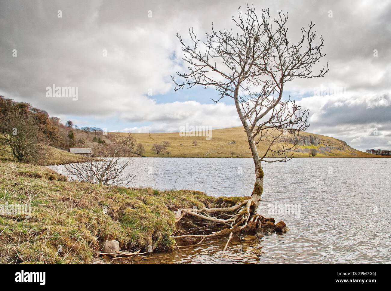 Malham Tarn looking towards Great Close Scar. Discover England's ...