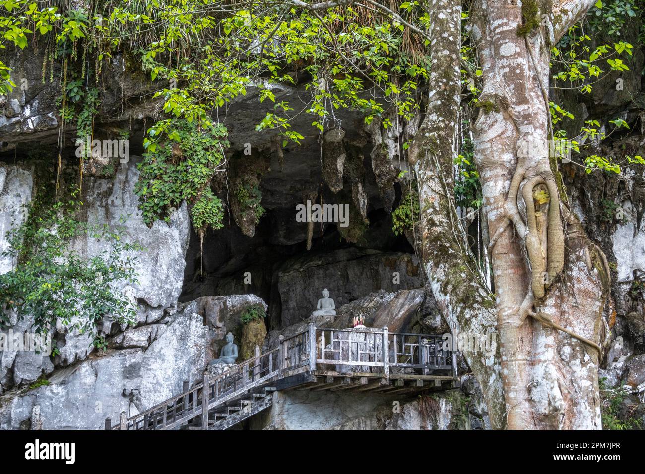 Bao shan hi-res stock photography and images - Alamy