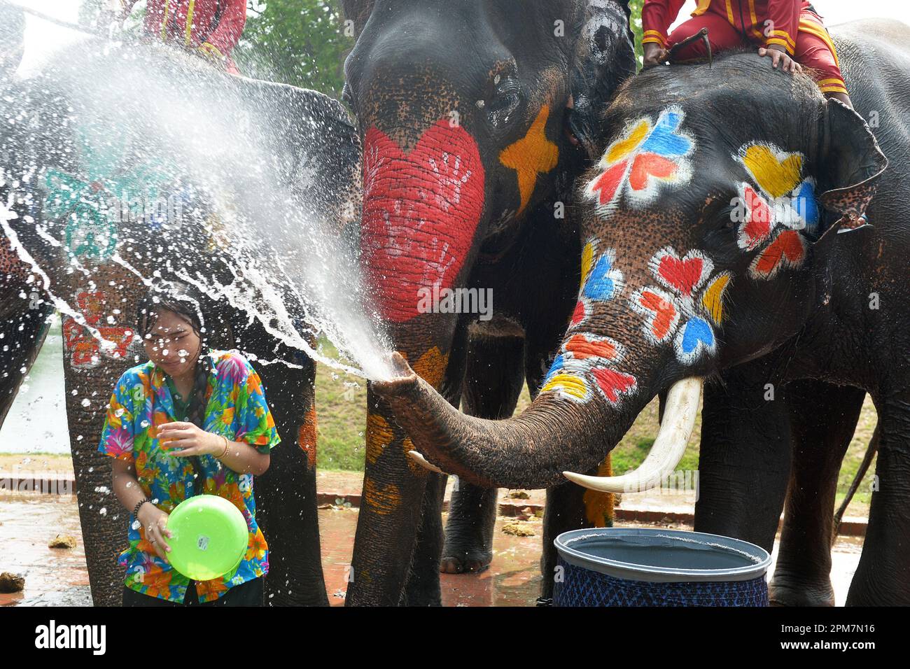 Ayutthaya, Thailand. 11th Apr, 2023. An elephant sprays water on a tourist during a celebration ...