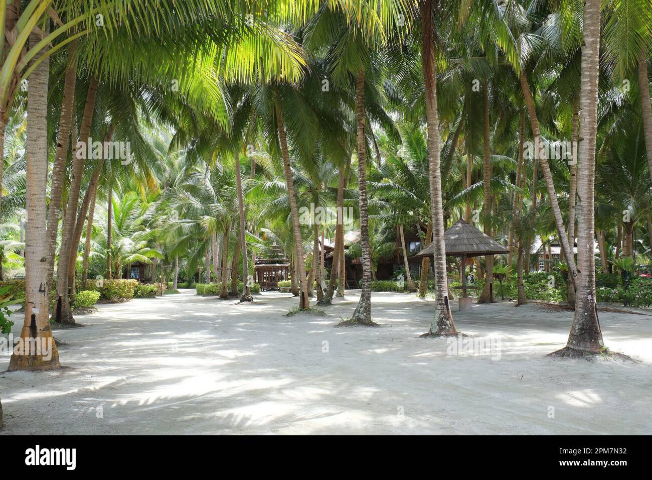 Mabul islands palm beach. The Mabul Islands are in the Celebes Sea off ...