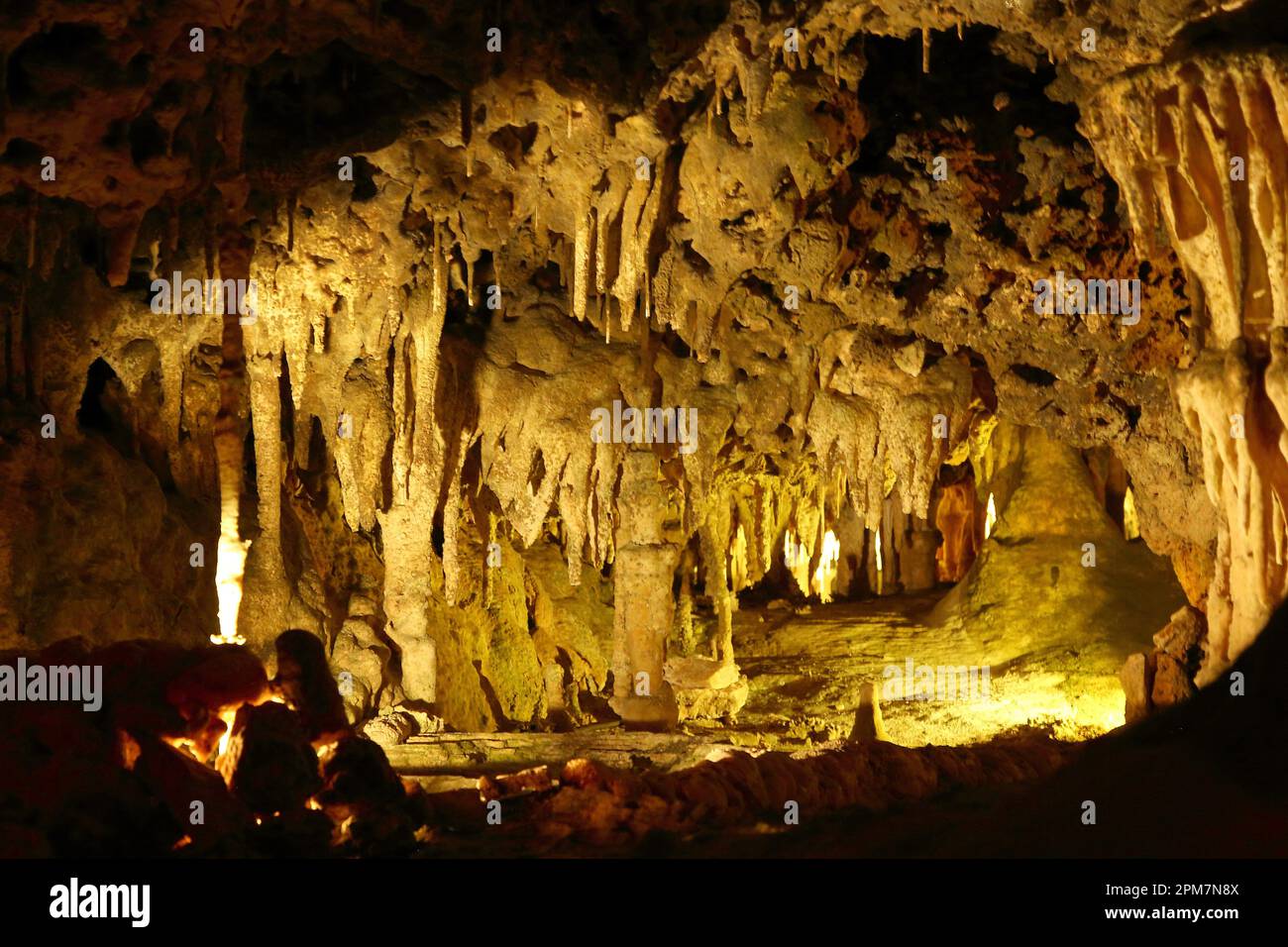The Cuevas dels Hams are a cave system located on the east coast of the ...