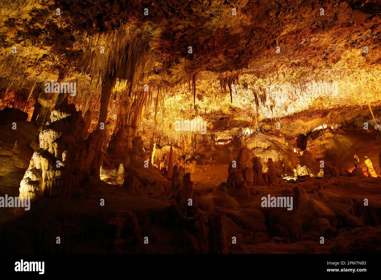The Cuevas dels Hams are a cave system located on the east coast of the ...