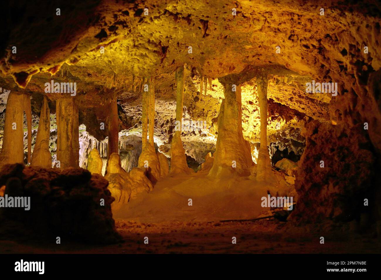The Cuevas dels Hams are a cave system located on the east coast of the ...