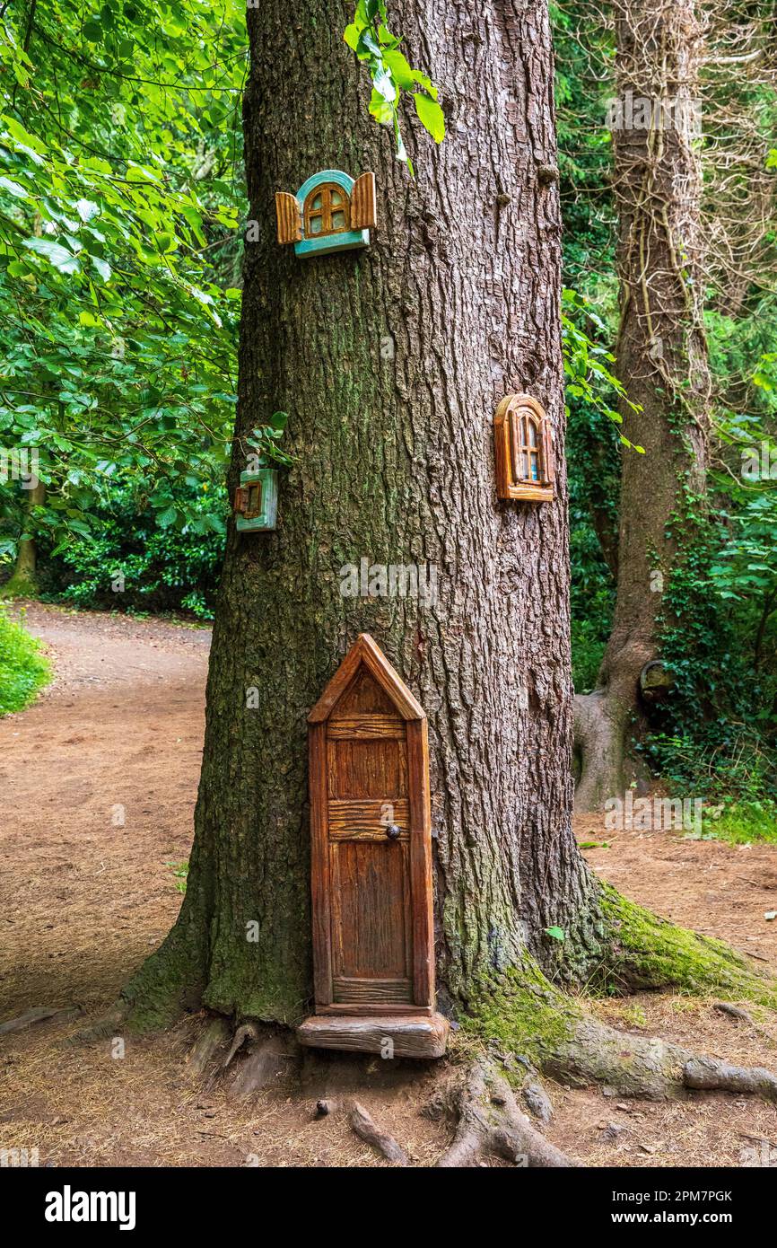 Fairy forest hi-res stock photography and images - Alamy