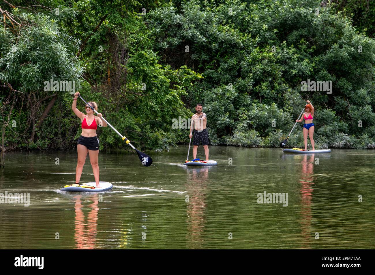 People doing paddle surf on rio Tajo river or Tagus river in the La ...