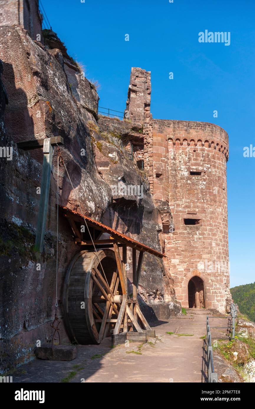 Altdahn castle massiv, here the south tower and crane wheel of the ...