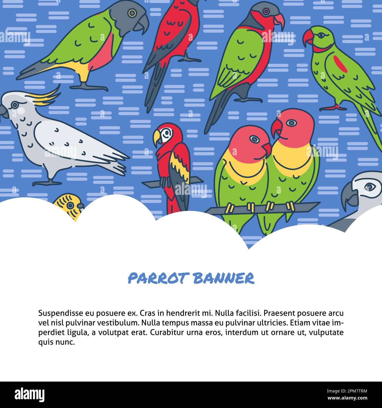 Parrots concept background in colored line style. Banner template with ...