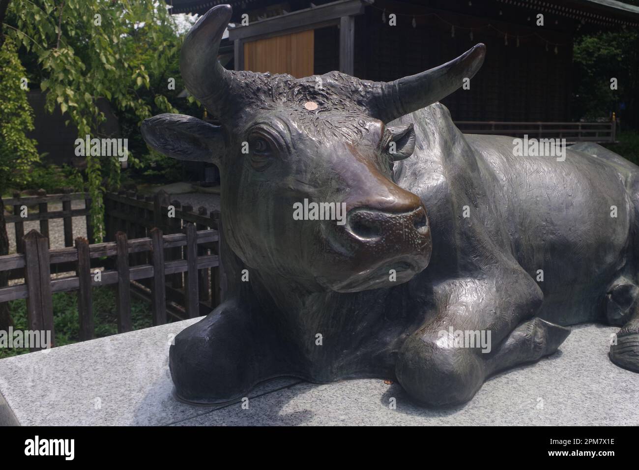Bull Statue at Fudaten Shrine in Chofu, Tokyo, Japan Stock Photo - Alamy