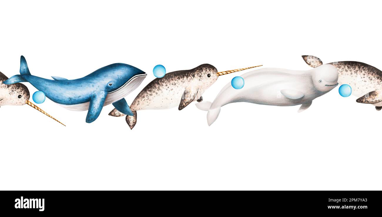 Watercolor border with beluga, blue whale and narwhal isolated on white ...